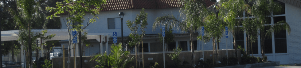 St. Verena and the Three Holy Youth Coptic Orthodox Church | Coptic ...